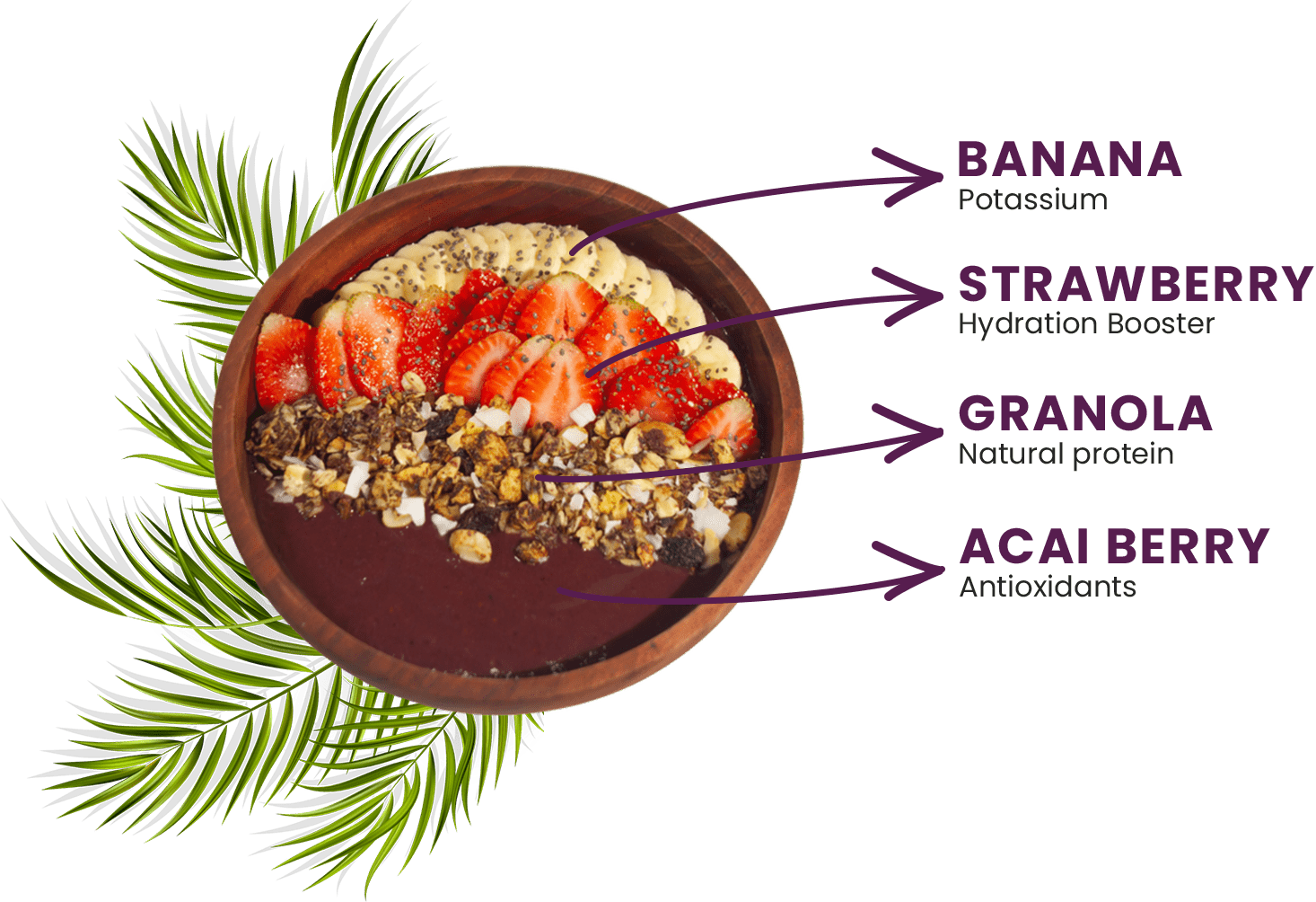 Açai Shop - Fresh Organic Açai Bowls in Bali